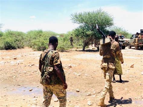 Somali Forces Eliminate Senior Al Shabaab Commanders In Bakool And Bay