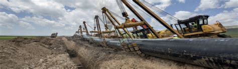 Environment And Biodiversity Eco And Partner Consult Limited