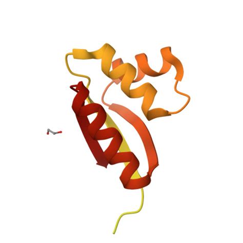 Rcsb Pdb 8yeq Crystal Structure Of L7l12 Ribosomal Protein From
