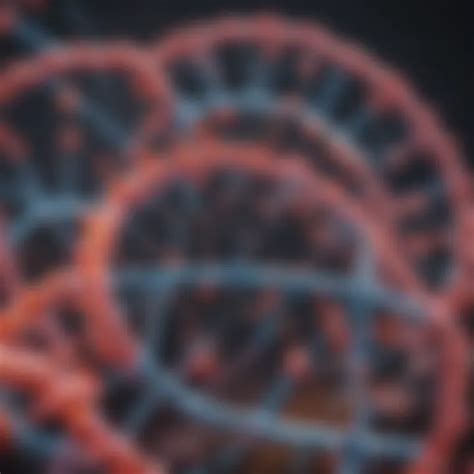 Understanding Ebv Dna Quantification Via Pcr Techniques