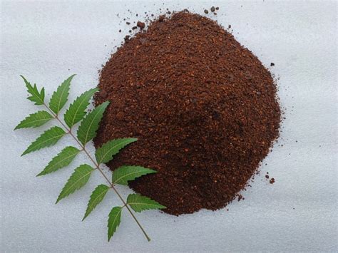 Powder Organic Neem Cake Fertilizer, Packet, Packaging Size: 1 kg at Rs 30/kg in Pune
