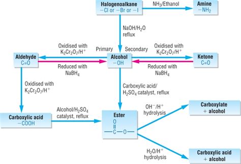Organic Chemical Pathways Green Co2 Essential For Re Carbonising