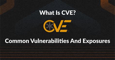 What Is A Cve Meaning And Common Vulnerabilities And Exposures In