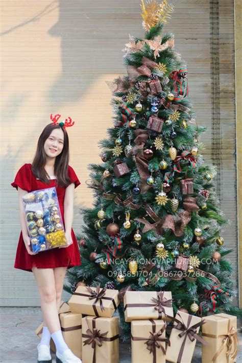 Combo Cây Thông Cước Xanh Lăn Kim Tuyến Bạc 24m Cao CẤp