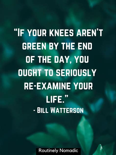 100 Short Aesthetic Green Quotes For All Of Lifes Green Moments