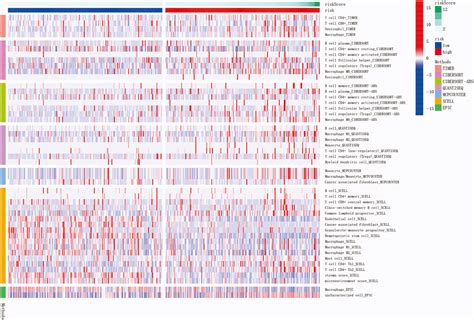 Ferroptosis Related Long Non Coding RNA Signature Predicts The Prognosis Of Hepatocellular