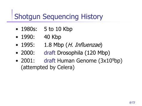 Ppt Sequence Assembly And Protein Docking Algorithms Powerpoint