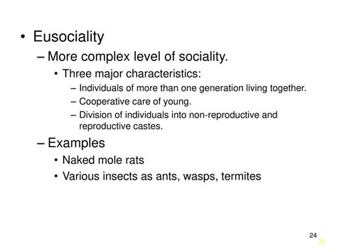 Social Relations Ppt Download