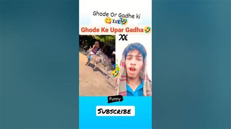 Ghode Ke Upar Gadha 🤣😱 Ghode Gadha Ki Xx💯 Shorts Funny Reels Instagram Ytshorts Viral