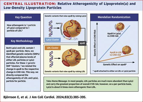 Lipoproteina Is Markedly More Atherogenic Than Ldl An Apolipoprotein B Based Genetic Analysis