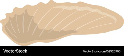 Seashell Color Icon Marine Fauna Shell Symbol Vector Image