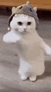  Goofy Cat Tenor