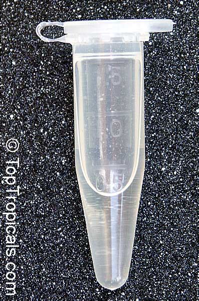 Ferovit Key To Lush Green Plant Growth