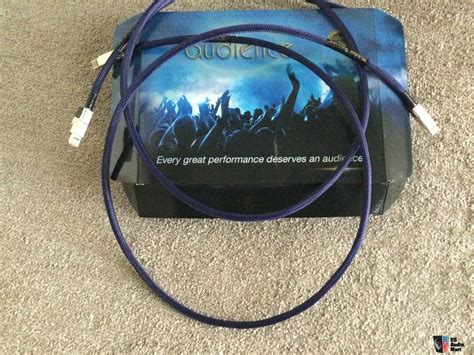 Audience Hidden Treasure Ethernet Cable 1 5m 2 Photo 5951801 Us