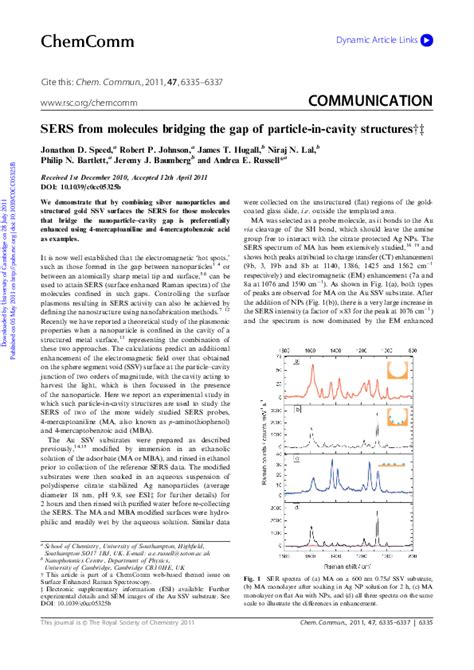 Pdf Sers From Molecules Bridging The Gap Of Particle In Cavity Structures