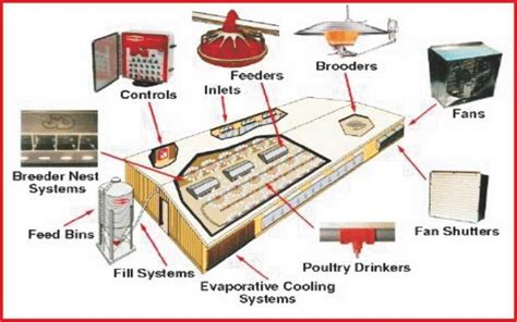 Modern Innovations In Poultry Farming Sr Publications