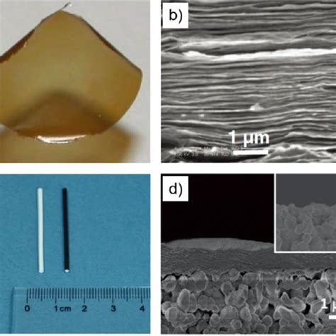 Pdf Two Dimensional Material Membranes Manipulating The Transport