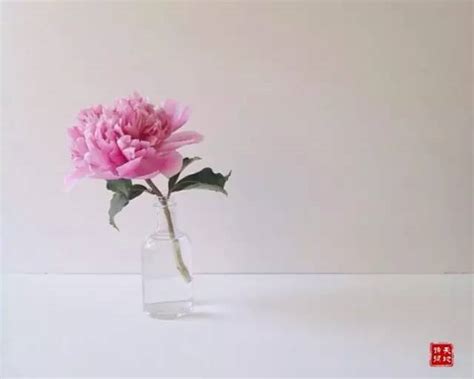 生活就是：白天有说有笑，晚上睡个好觉