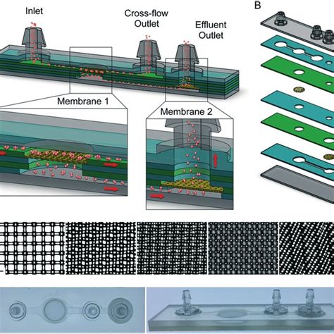 Pdf Microfluidic Filter Device With Nylon Mesh Membranes Efficiently Dissociates Cell