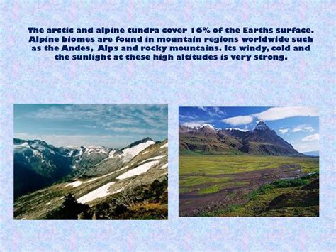 Alpine Biome Climate
