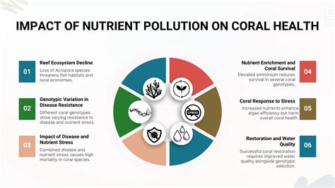 أمراض المرجان تُدمر الشعاب المرجانية في منطقة البحر الكاريبي، مُهددةً أعدادًا حيوية من أسماك قرن