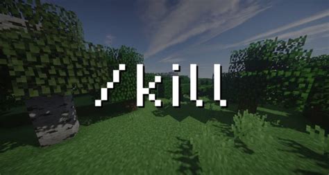 How To Use The Kill Command In Minecraft Minecraft Tutos