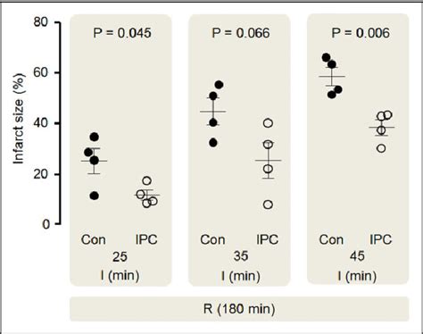 Figure 1 From Characterization Of The Langendorff Perfused Isolated
