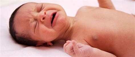 Jorge El Pediatra Cólicos Del Lactante Diario De Mallorca