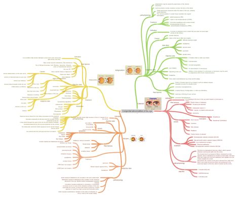 Congenital Abnormalities Of The Eye Glaucoma Eyesglaucoma