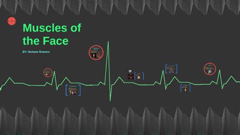Muscles Of The Face By Mimi On Prezi