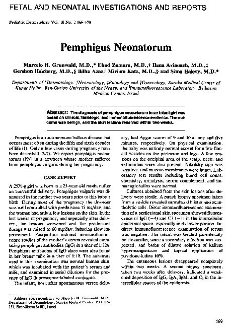 Pdf Pemphigus Neonatorum