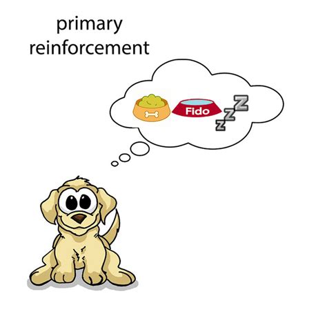 Reinforcement Definition Types Conditioned Reinforcement