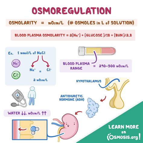Osmosis From Elsevier Updated Osmosis From Elsevier Osmosis From Elsevier Updated Osmosis From Elsevier