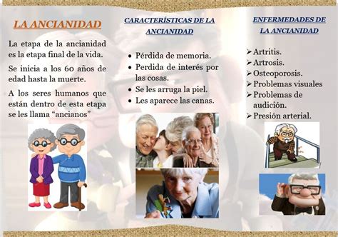 Tripticos Y Dipticos Descargar En Word Pdf Triptico De La Anciedad En