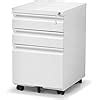 Oasecrilio Filing Cabinet 3 Drawer Locking File Cabinets