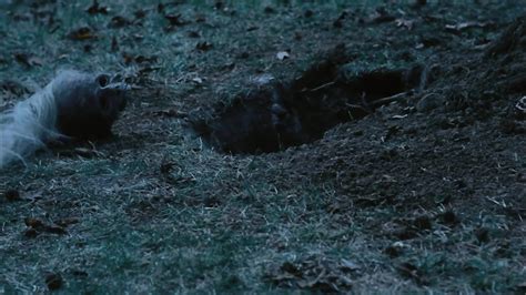 Graveyard Dancing Ghosts 2006 Movie Telugu Dubbed Eporner