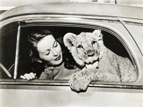 Interesting Vintage Photos Of Classic Movie Stars Spending Time With