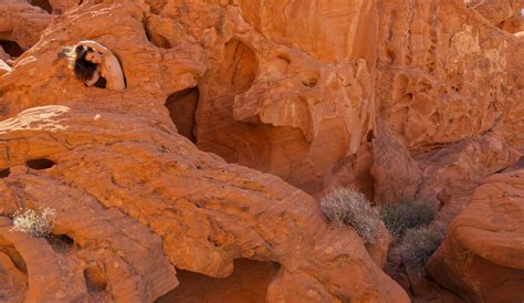 Red Rock Desert With Wonderhussy Exposed For The Shadows