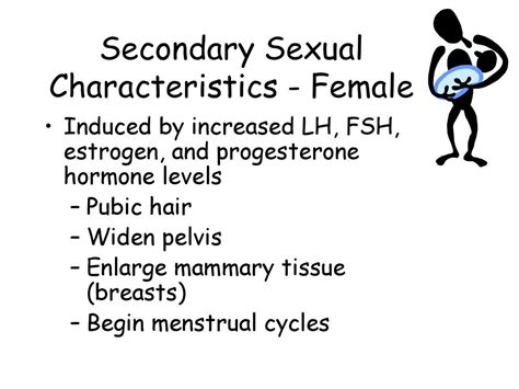 Human Reproductive System Review Ppt Download