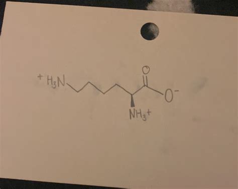 Biochem Final Flashcards Quizlet