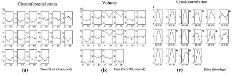 Strain Volume And Cross Correlation Curves Of All Segments In One