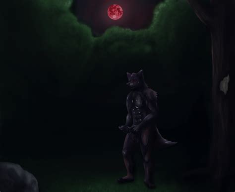 Rule 34 Animal Genitalia Animal Penis Anthro Blackheartwolf Canid