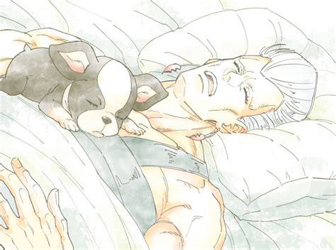 Jean Pierre Polnareff And Iggy Jojo No Kimyou Na Bouken Drawn By