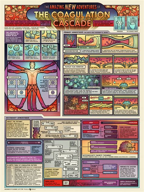 Eleanor Lutz Complex Timeline Design