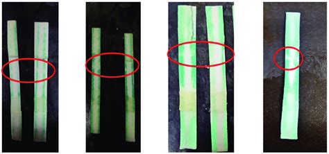 Color Online Photographs Of Immunochromatographic Strip Test For