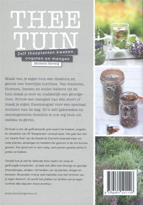 Thee Uit Eigen Tuin De Beste Kruiden Om Zelf Kruidenthee Te Maken
