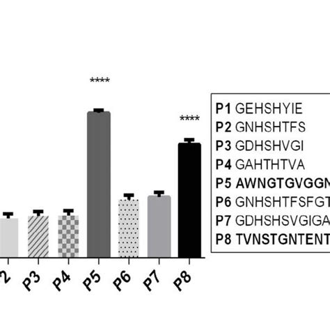 Western Blot Assay Of Biotinylated Lps Binding By The Adhesin Using Lps