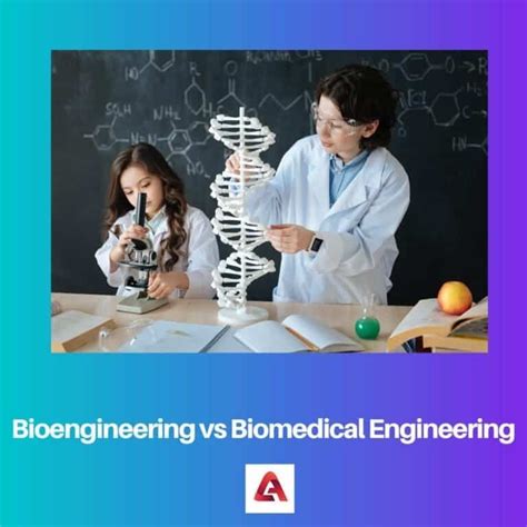 Bioengineering Vs Biomedical Engineering Difference And Comparison