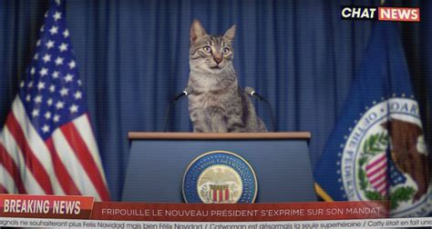 Le Triangle Planet Of The Cats Part 2 [review] Room Escape Artist