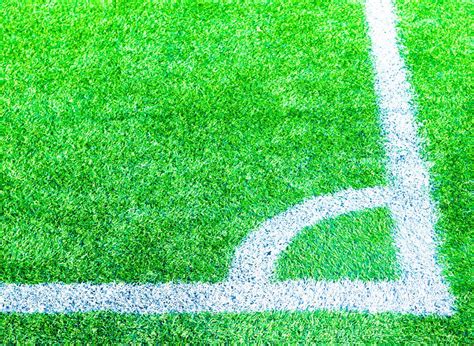 Will Spray Paint Kill Grass And Things To Consider When Using Spray